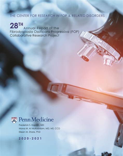 28th Annual Report Of The Fop Collaborative Research Project Ifopa International