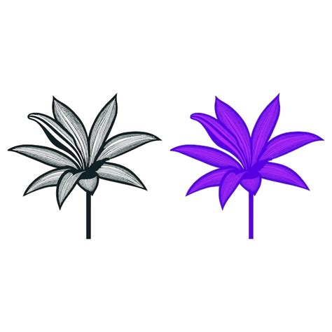 Premium Vector Lily Flower Vector Design