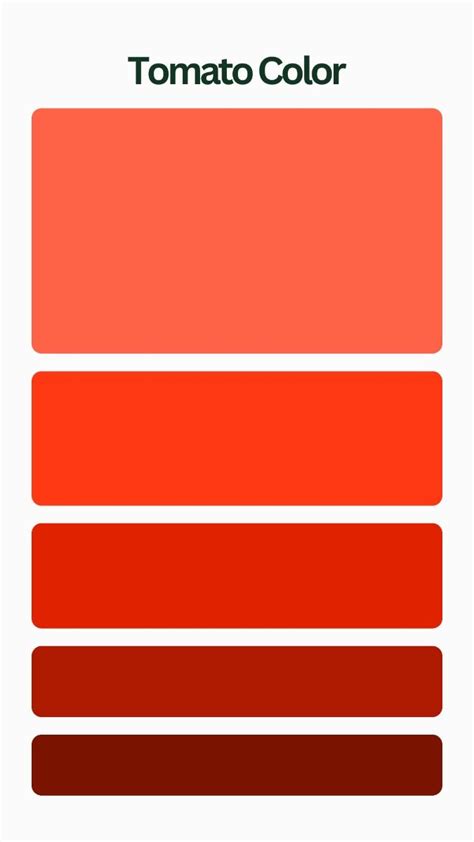 Tomato Color Tomato Color Bright Color Decor Blush Color Palette