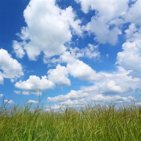 Aimee Mitchell Songs List Genres Analysis And Similar Artists Chosic