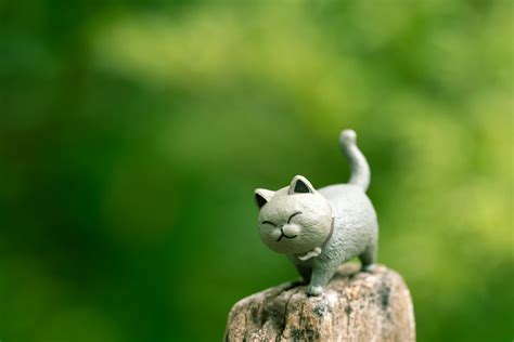 Wight Background Photos Download The Best Free Wight Background Stock