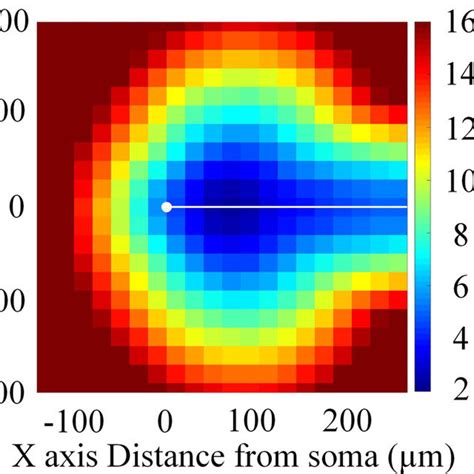 Schematic Views Of The Single Rgc Model And The Population Rgc Model Download Scientific