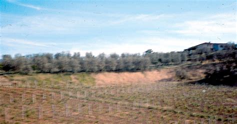 The Slide Guy Passing Fields Of Stuff