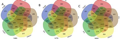 venn diagram displaying the representation of a b73 representative