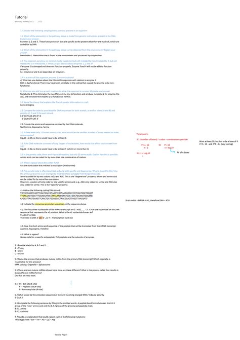 Lu7 Genetic Coding Consider The Following Simple Genetic Pathway Present In An Organism 1