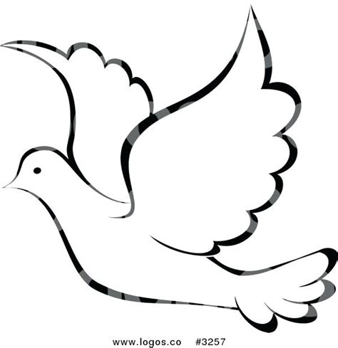 Black And White Dove Drawing At Explore Collection