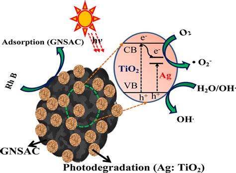 Schematic Of Enhanced Photocatalytic Activity For The Rhb Removal Of Download Scientific