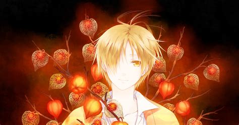 鬼燈（酸漿）特輯