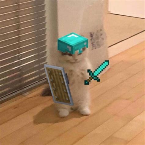 Minecraft Cat Minecraft Cat Cat Cosplay Anime Cat