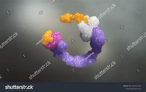 Ribosome Large Complex Molecular Machine Found Stock Illustration
