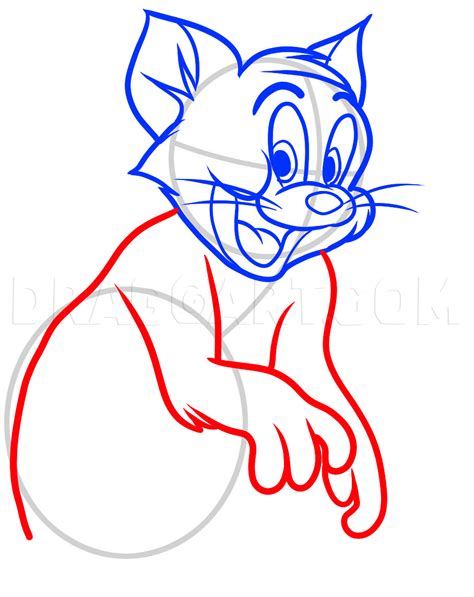 Tom Cat Drawing