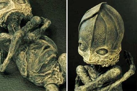 Megoldatlan Rejtélyek Blogja Apró Múmiák A Világ Körül Ii Alyoshenka