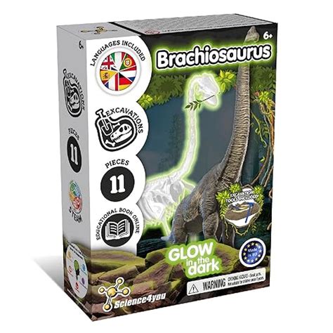 Brachiosaurus Dinosaur Kit Assembly Game And Luminous Fossils