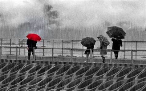 Patrick Mahony Pictures Ppsx