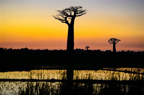 Madagascar Activities For Tourists Ivmr