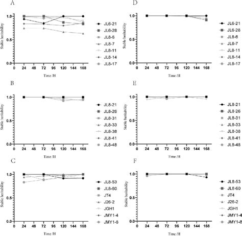 Plasmid Stability Results Of 21 Transconjugants With And Without