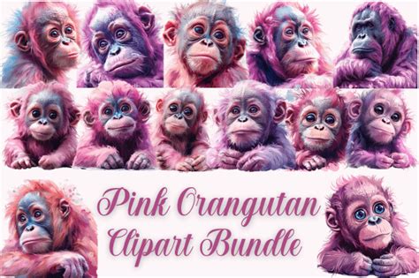 Pink Orangutan Clipart Bundle Graphic By Tshirtado · Creative Fabrica