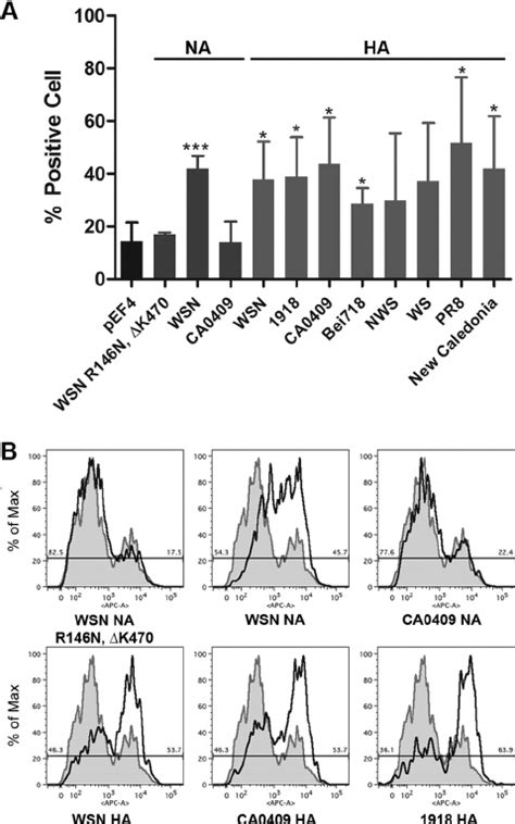 Plasminogen Binding On Ha And Na Transfected Cells By Flow Cytom Download Scientific Diagram