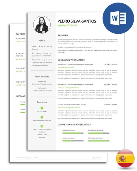 Template De Curriculo