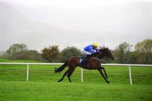 Lee Doubles Up On Seo Linn In Killarney Finale