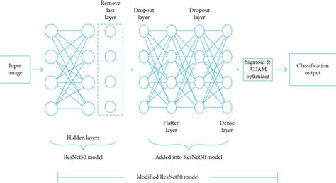 Modified Resnet50 Model For Brain Tumor Detection Download