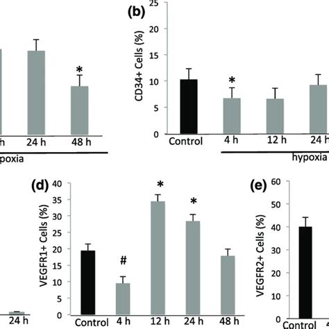 Hypoxia Modulates Cell Proliferation And Tube Formation Hypoxia Download Scientific Diagram