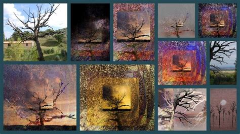 Tree Layers Collection Nature Art Nature Wall Art Fine Art America