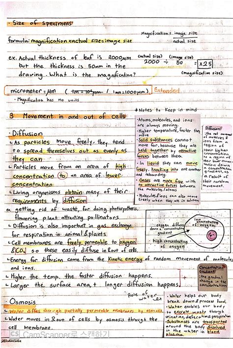 SOLUTION IGCSE Biology Movement In And Out Of Cells Studypool