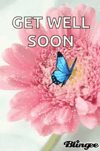 Get Well Soon Sparkles  Get Well Soon Sparkles Flowers Discover And Share S