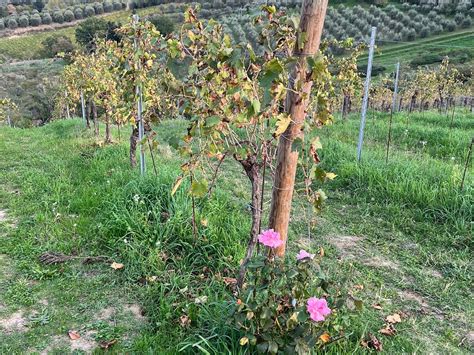 Cool Tours By Anna Florence All You Need To Know Before You Go