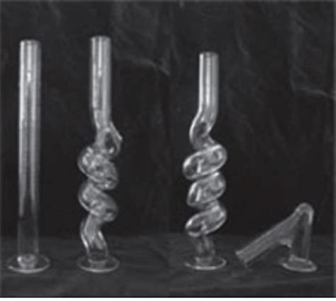 Corkscrew Penis Ucl Researchers In Museums