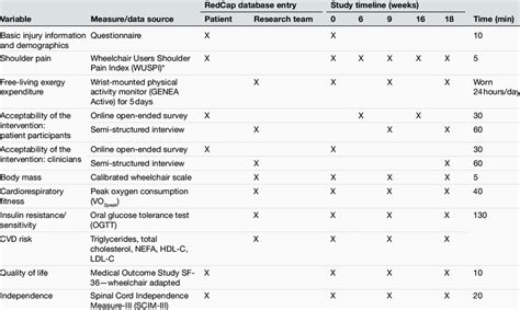 Overview Of Outcome Measures Data Collection Data Entry Sampling