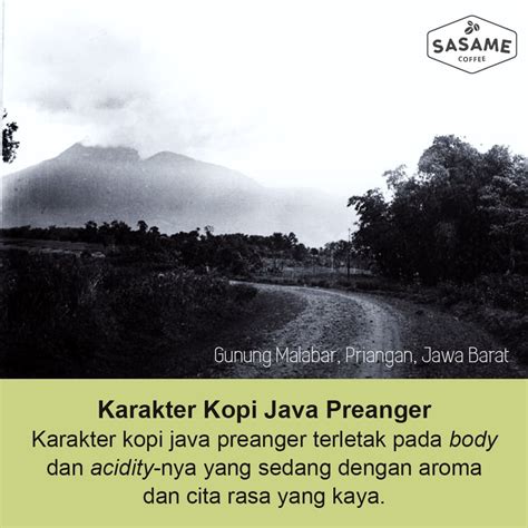 Karakter Rasa Kopi Java Preanger Sasame Coffee