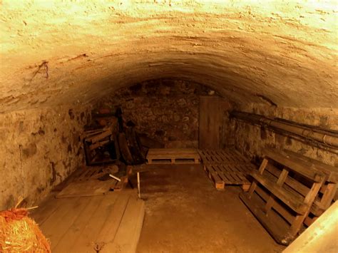 Root Cellar In Ground