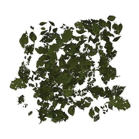 The Leafening 1 Leaves Trees Leaf Piles Paths And Background