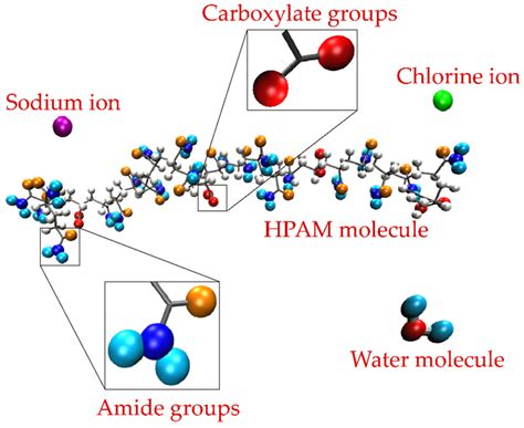 Molecular Dynamics Simulations Of The Interactions Between A Hydrolyzed
