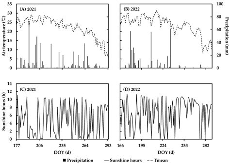Visualization Of Three Dimensional Architecture Of Maize Plant For