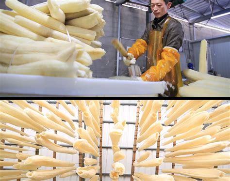 Multi Shaped Compressed Loofah Cleaning Pads Ideal For Kitchen Use