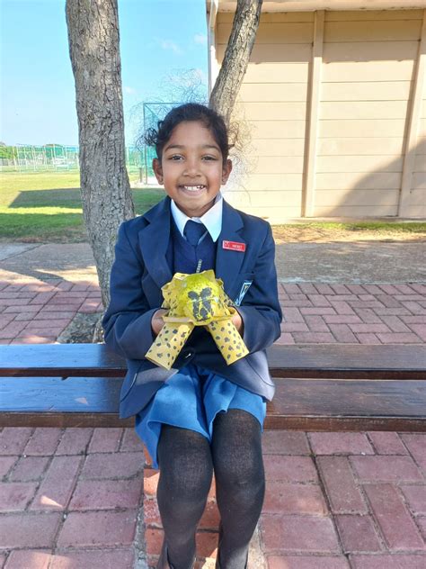 Our Grade 3s Made 3d Wild Westering Primary School