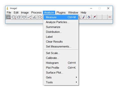 my imagej การวิเคราะห์ภาพด้วยการวัดค่ารายละเอียดของภาพ analyze measure