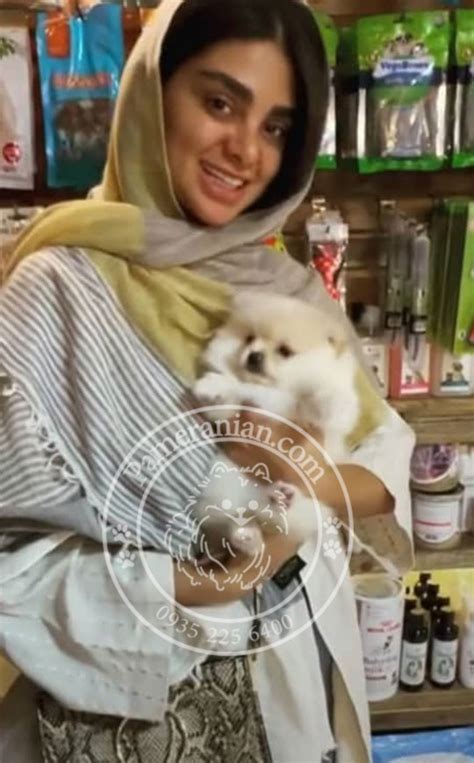 مشتریان سایت پامرانین