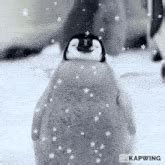 Penguin Snow S Tenor