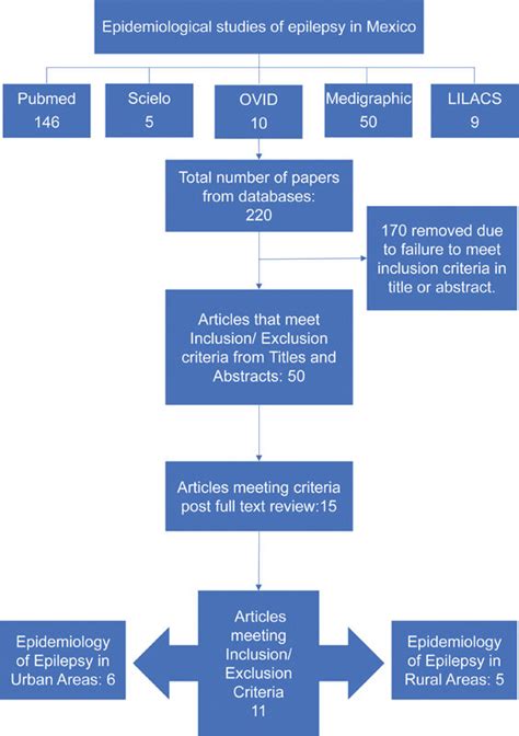 Flowchart Of Epidemiological Studies Related To Epilepsy In Mexico