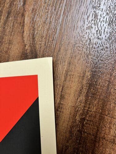 Constructivist Banner Shepard Fairey Signed Number 2010 Rare Print