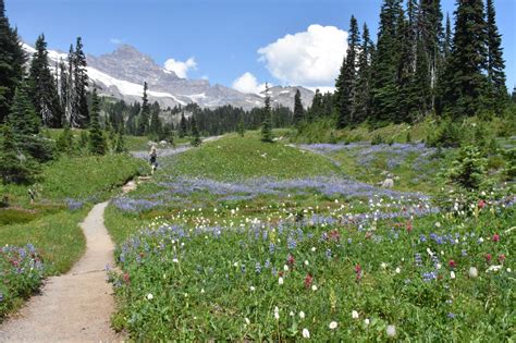 Best Hikes And Trails In Paradise Blgqmg