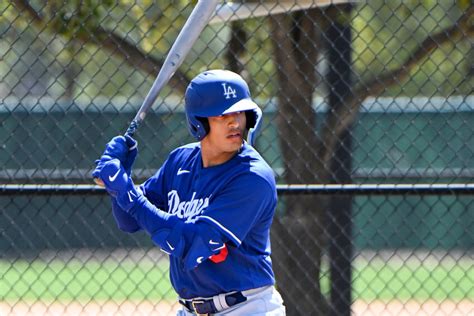 Dodgers Minor Leagues Diego Cartaya Miguel Vargas Jared Karros True Blue La