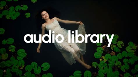 Paradiso By Tubebackr And Stanty