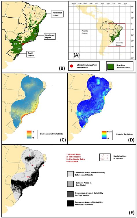 Frontiers Current And Paleoclimate Models For An Atlantic Forest