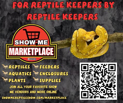 Micky Meyer Your Storefront Your Terms Just Dont Be A Facebook