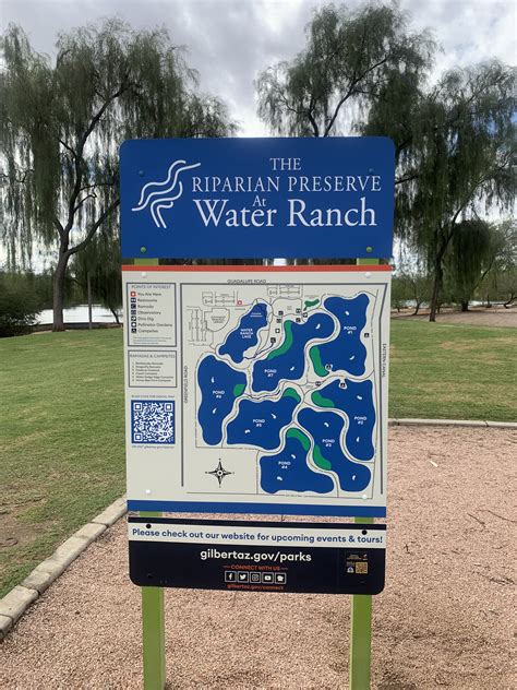 Riparian Preserve At Water Ranch Gilbert Arizonas Hidden Nature